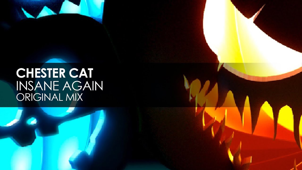Chester Cat - Insane Again - YouTube