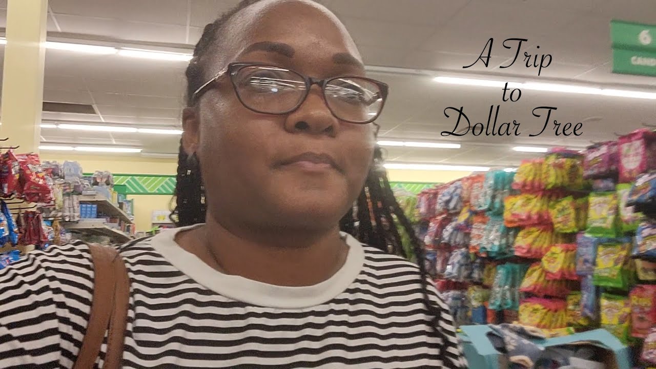 Vlogmas Day 16 | A Trip to Dollar Tree - YouTube