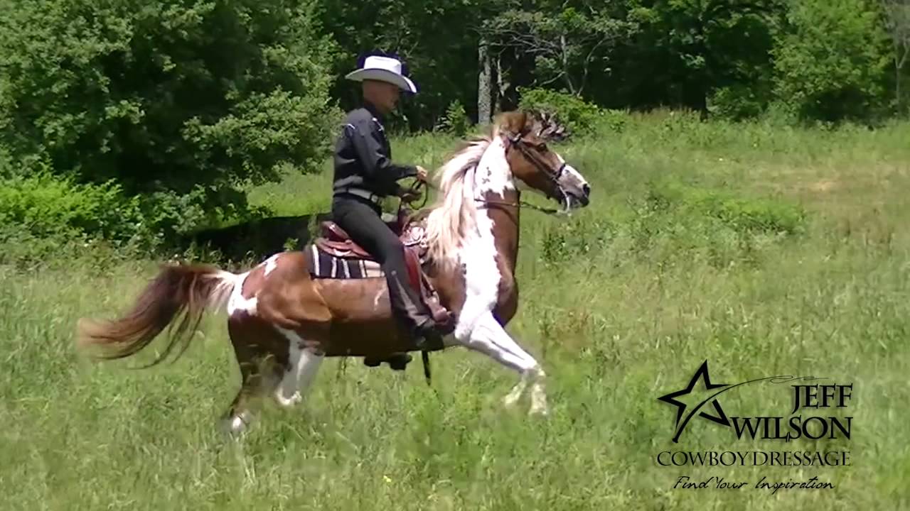 Tennessee Walker in Collected Canter - YouTube