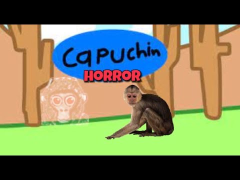 Capuchins Horror Mode is TERRIFYING. (Oculus Quest 2) - YouTube