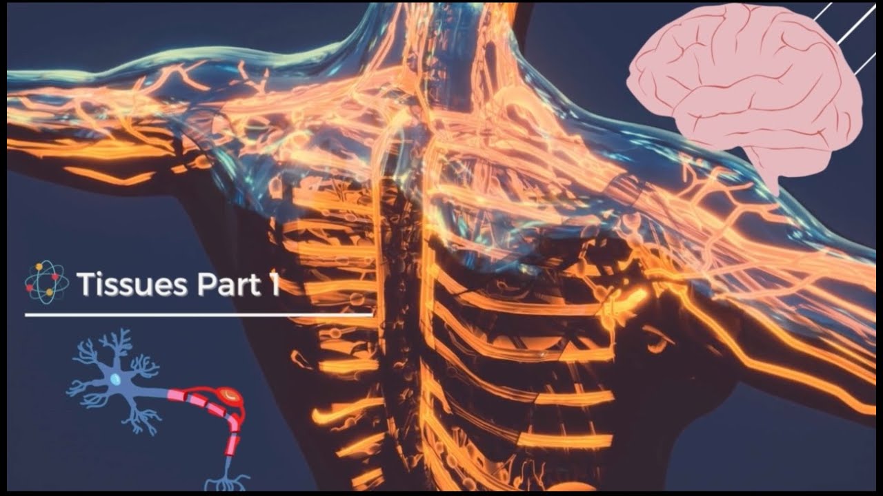 Tissue Part 1(Tagalog/Filipino) - YouTube