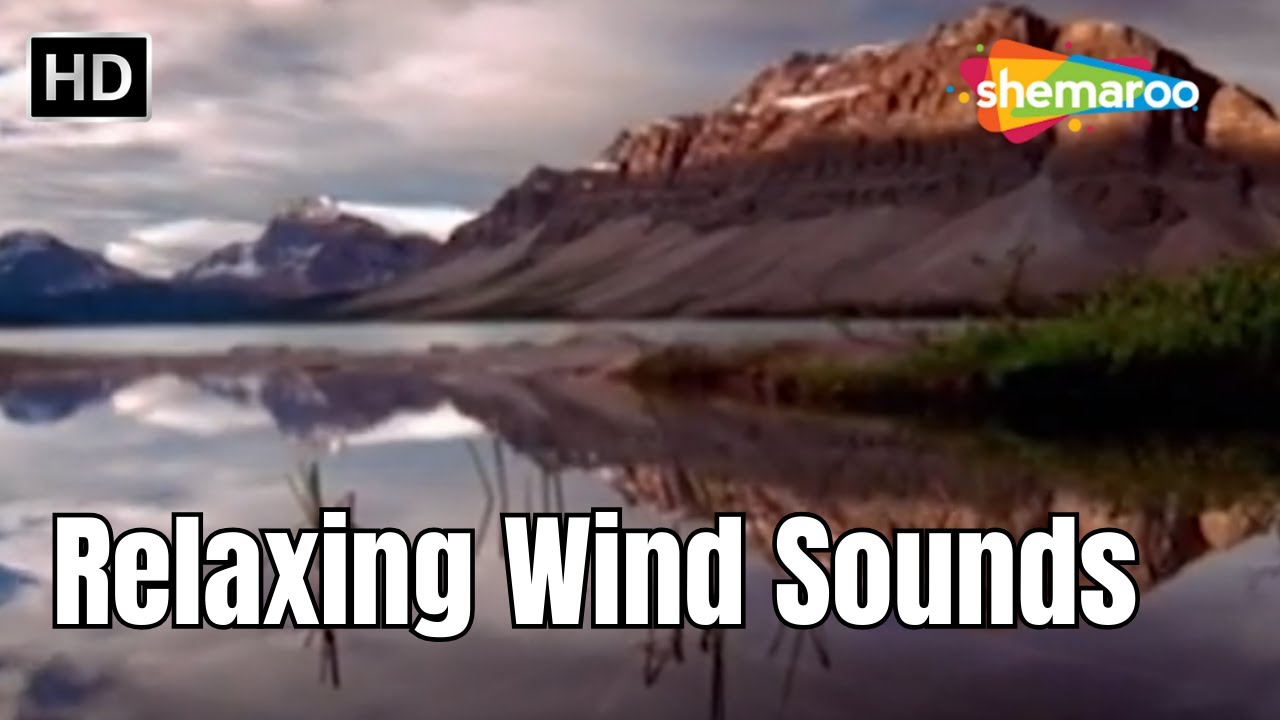 Relaxing Wind Sounds | Elements Of Nature Wind | Nature Sounds ...