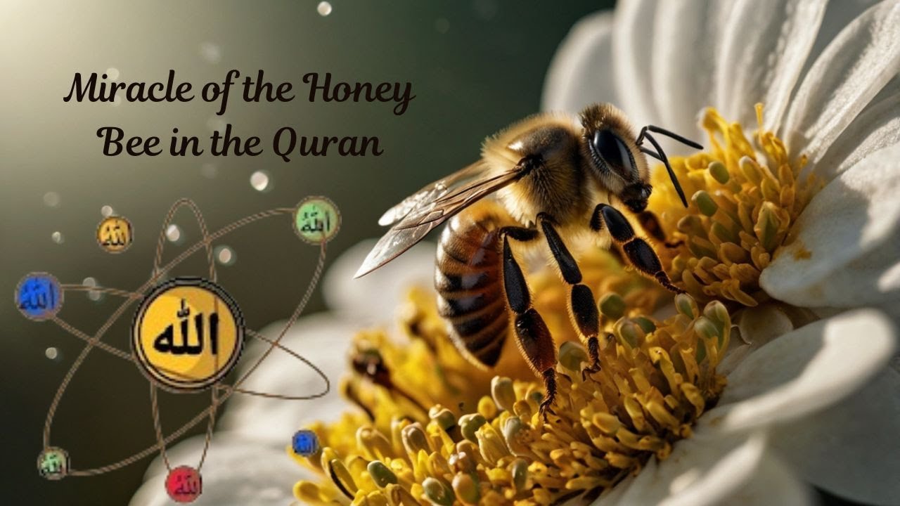 Miracle of the Honey Bee in the Quran | What the Quran Says About Honey ...