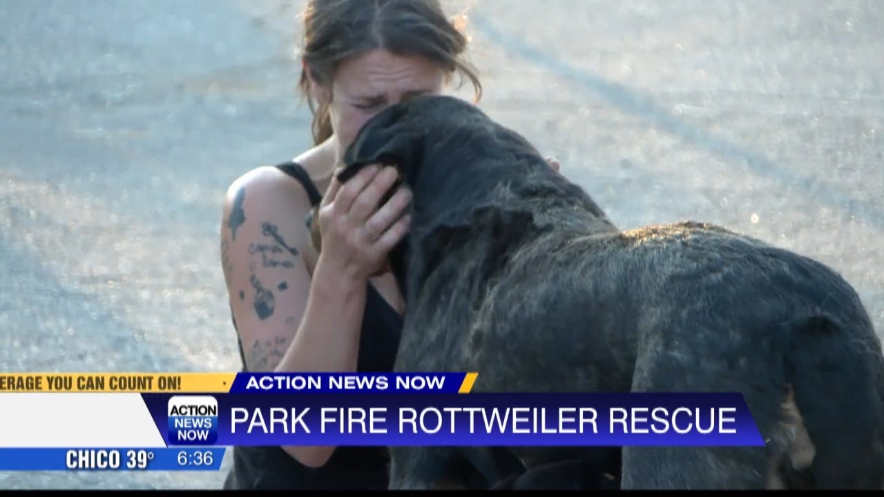 Hayley Watts reflects on the year's most memorable stories - YouTube