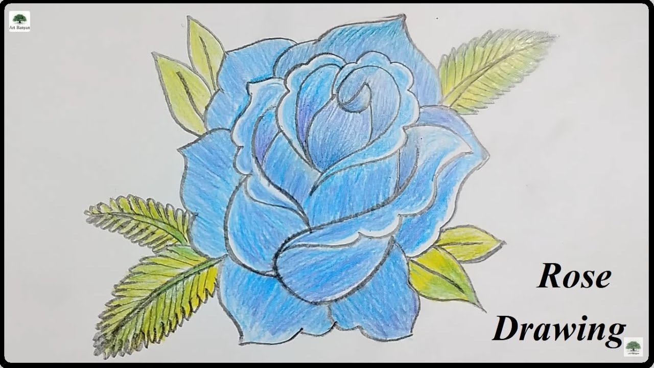 Drawing of rose | How to make a blue color rose drawing | गुलाब का ...