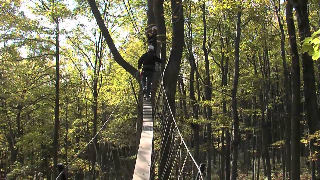 Great Getaways: Treetop Hike & Zipline - Grey County, ON - YouTube