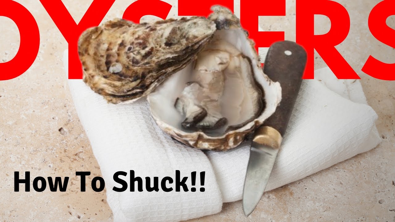 Shucking Oysters at Taylor Shellfish! How to open oysters at home? How ...
