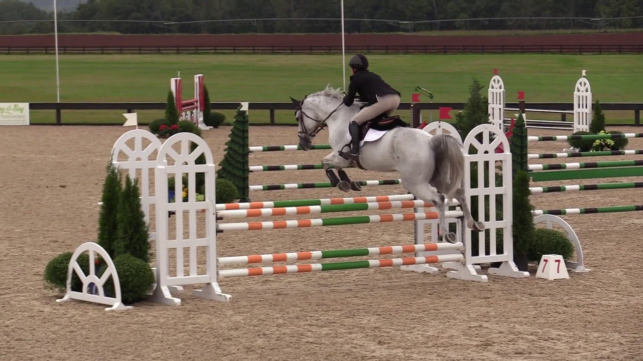 SLF Chablis ridden by Susan Lockner High Child Adult Sept 23, 2018 PSJ ...