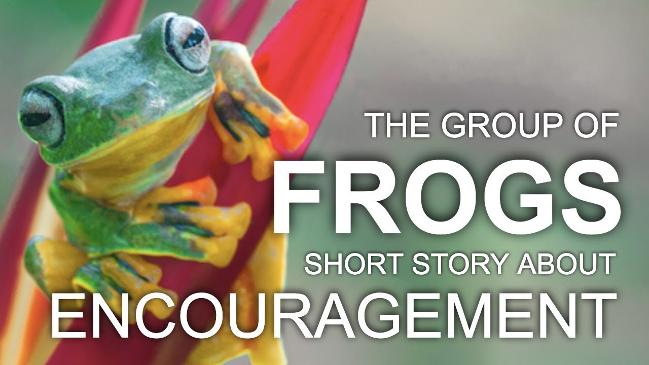 FROGS a Short Story on Encouragement - The Deaf Frog Short Story - YouTube