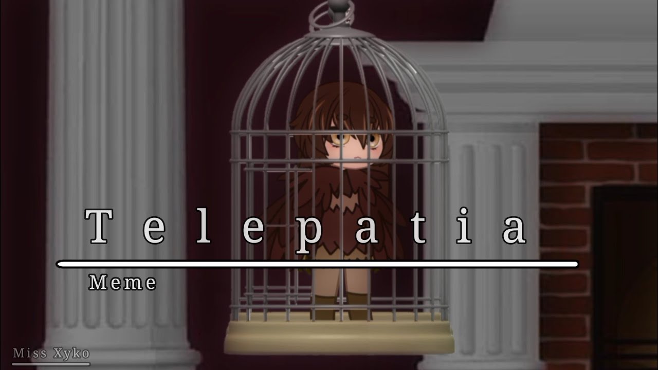 Telepatia Meme | The Owlly | Gacha Club - YouTube