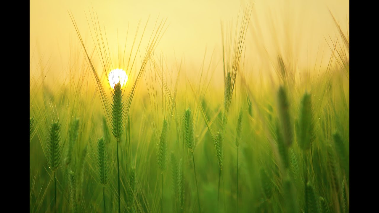 Sunrise | Fresh Morning | Clear Sky | Wake-Up | Relax | Music Video ...