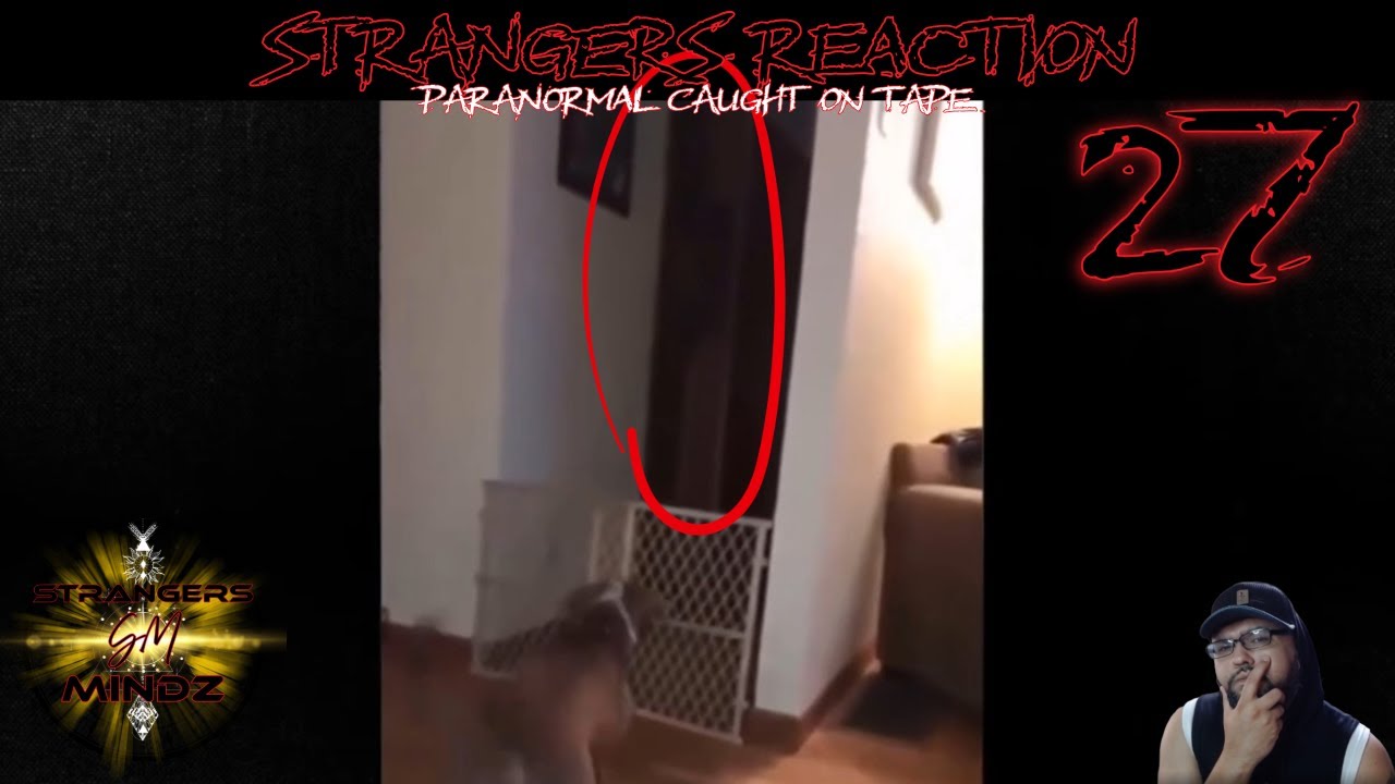 STRANGERS REACTION. Paranormal Caught On Tape. Paranormal Investigator Reacts. Episode 27 - YouTube