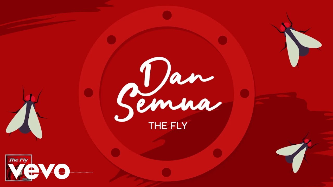 The Fly - Dan Semua (Official Lyric Video) - YouTube
