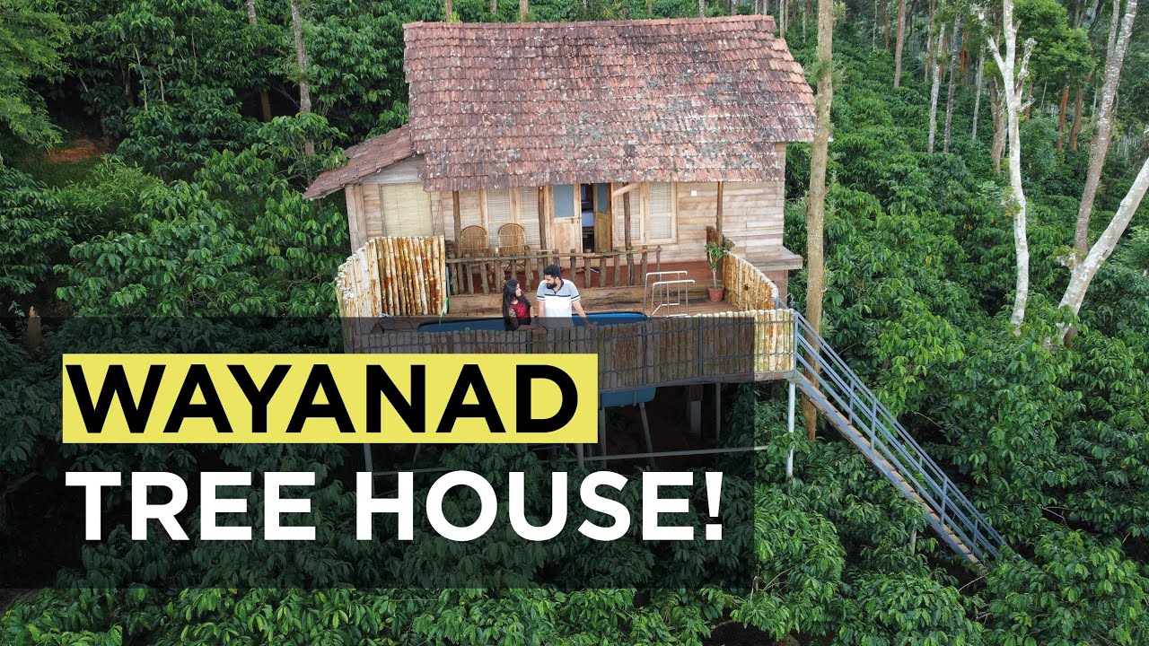 Best place to visit in wayanad | 4K Video | DJI Mini 2 Drone - YouTube