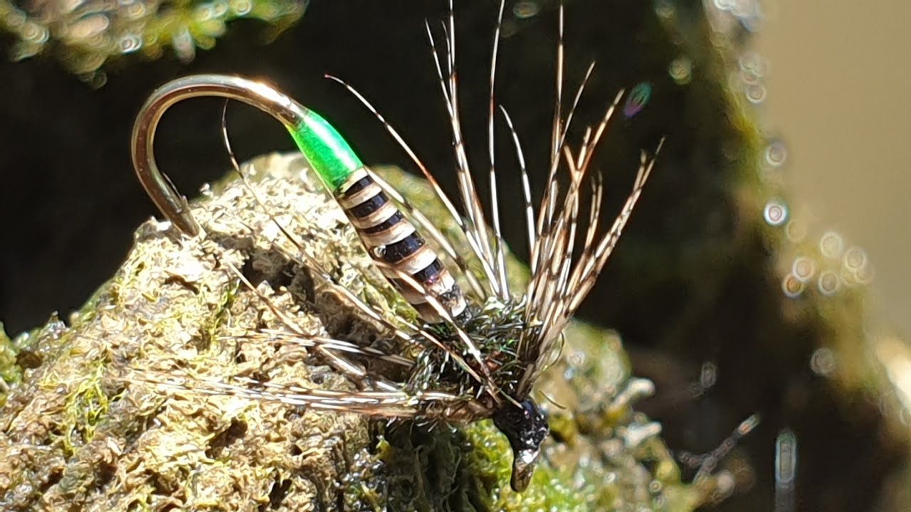 Fly Tying a quill and hot spot spider fly - YouTube