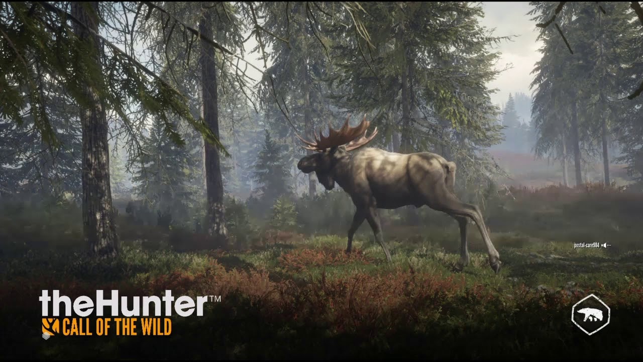 Call of The Wild - YouTube