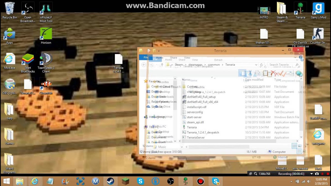 How to get developer patch for Terraria - YouTube