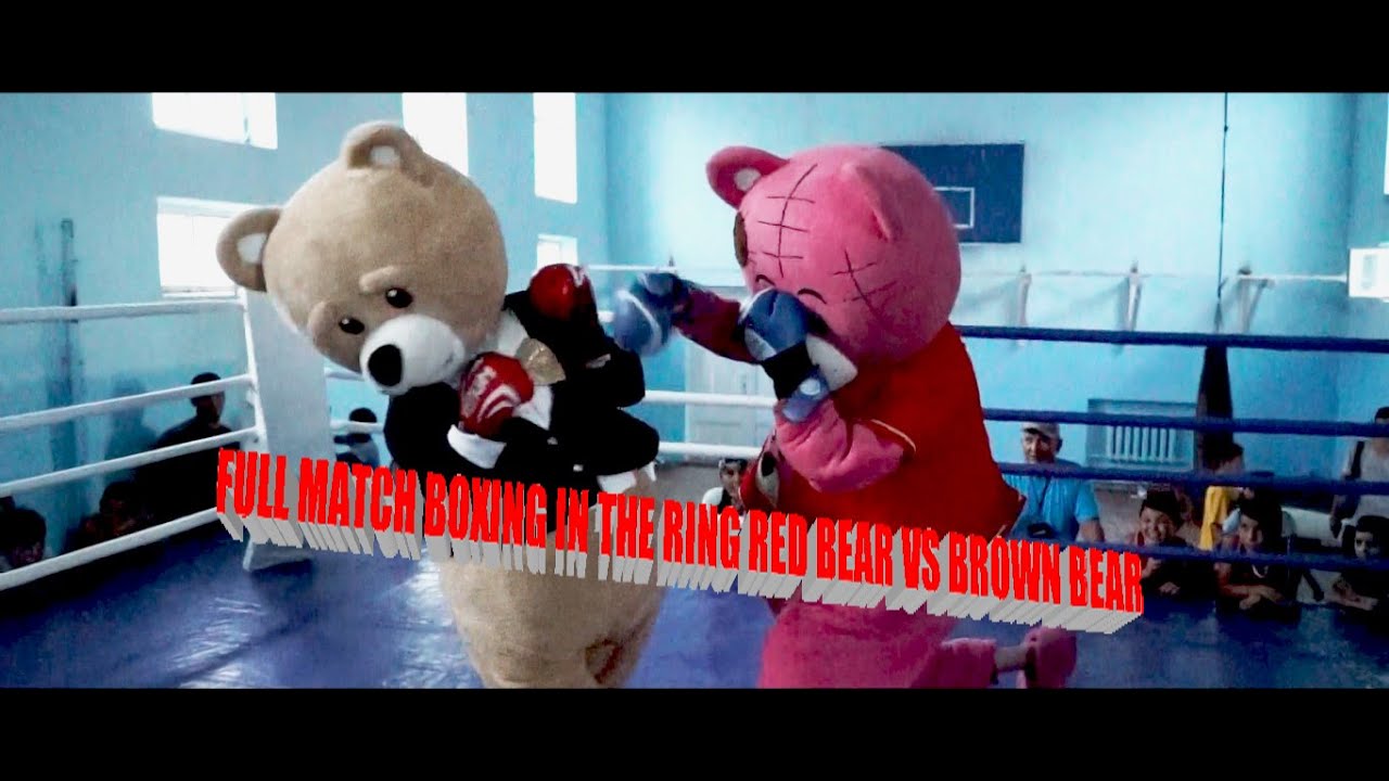 FULL MATCH BOXING IN THE RING RED BEAR VS BROWN BEAR - YouTube