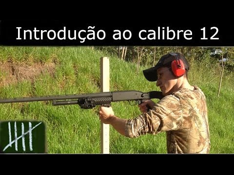 Introdução ao calibre 12 - YouTube