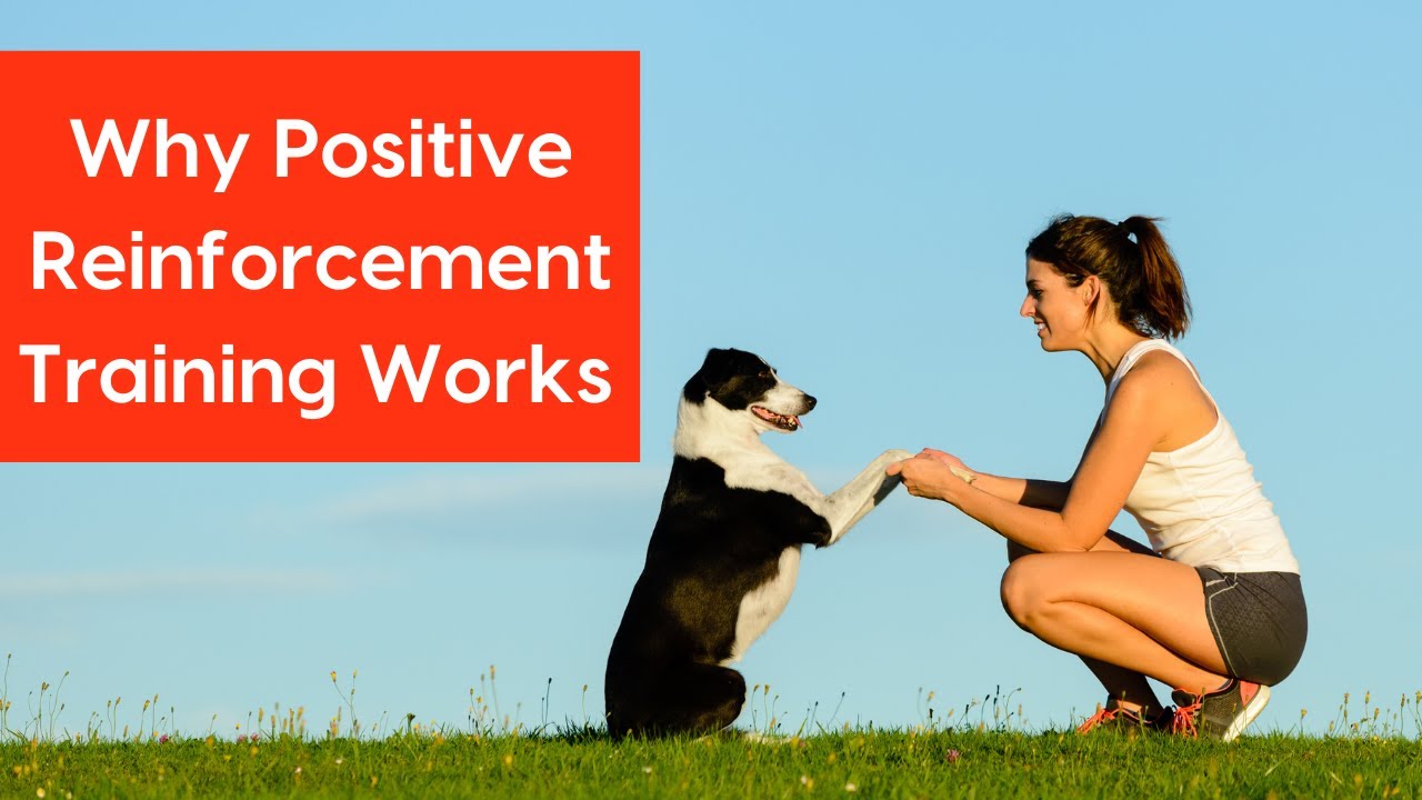 Positive Reinforcement At Work