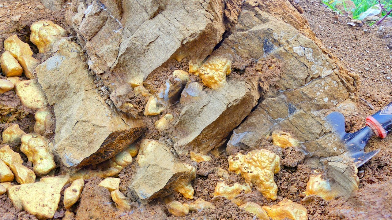 TreasureFinding! Digging up for Treasure worth million dollar from Huge ...