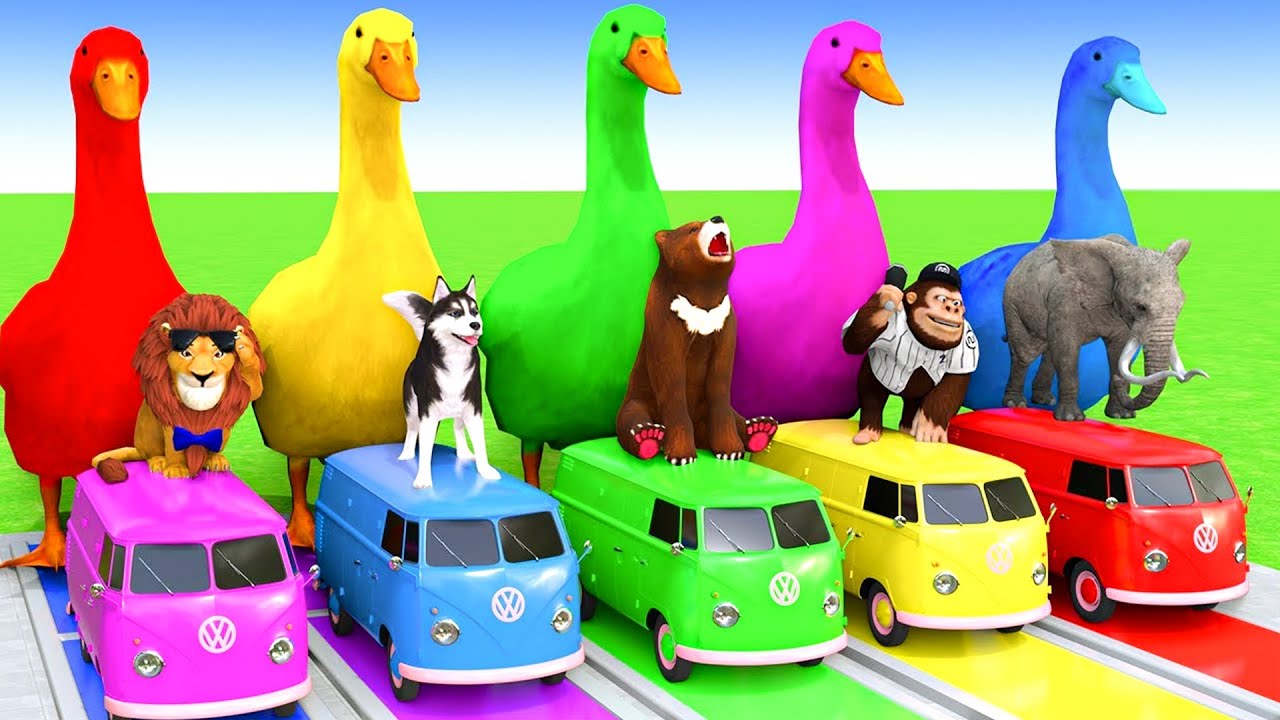 Long Slide Game With Elephant Gorilla Buffalo Hippopotamus Tiger 4d ...
