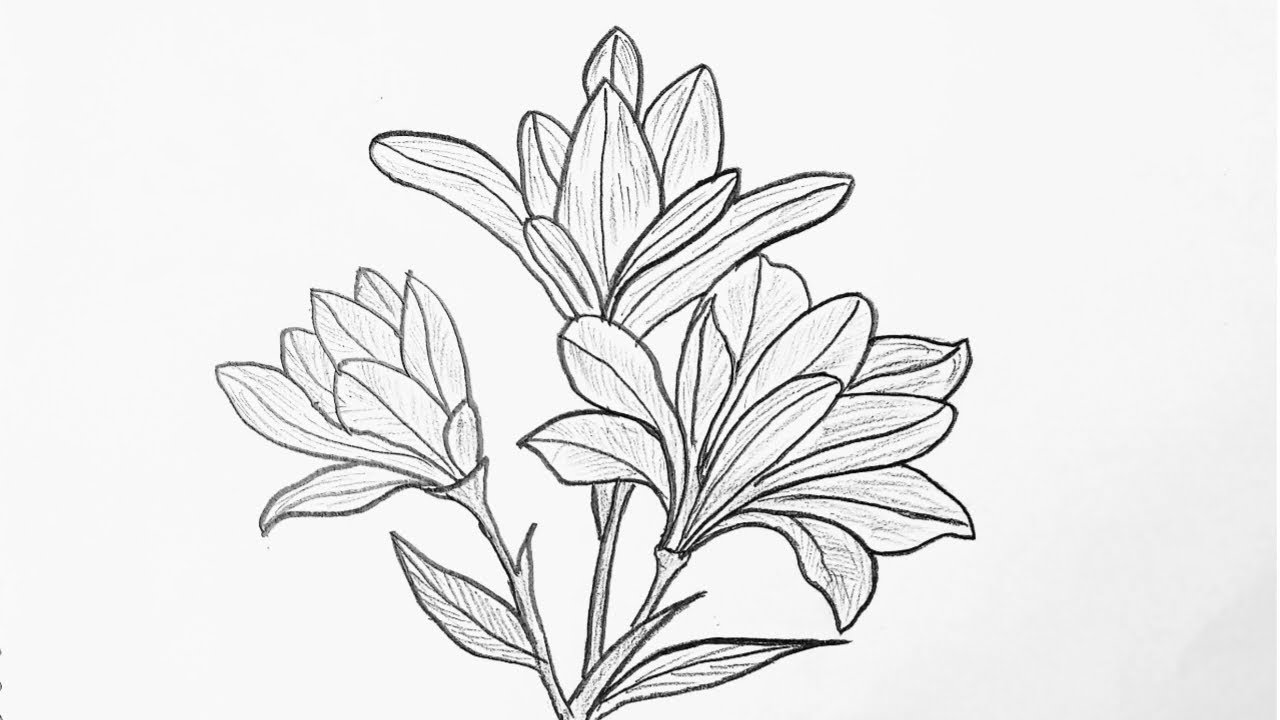 How to Draw Crocus Flower | Easy Flower Drawing step by step | Easy ...