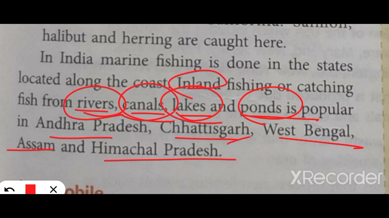 ICSE class 7 geography chapter 6 Industries - YouTube