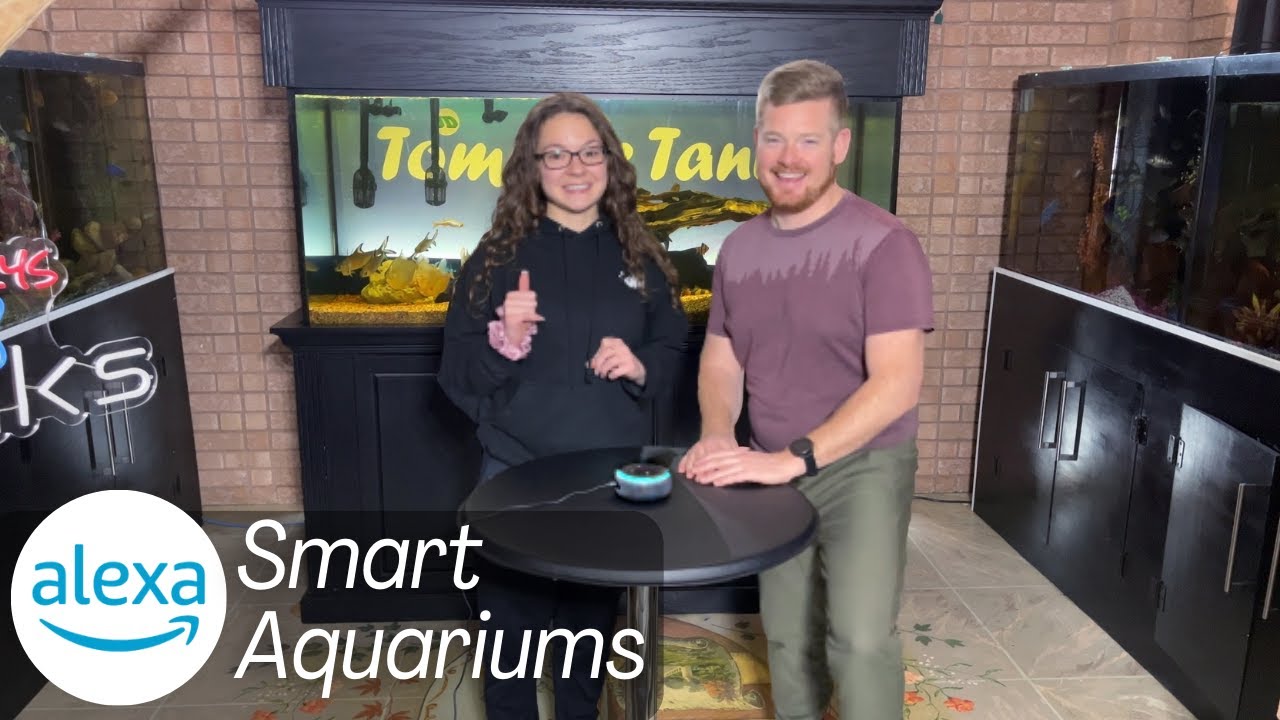 How to Control Your Aquariums Using Alexa/Google Home? This will CHANGE ...