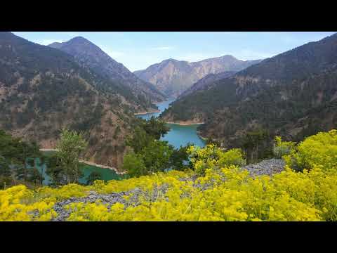 Gül Ahmet Yiğit  -  Darda Kaldım