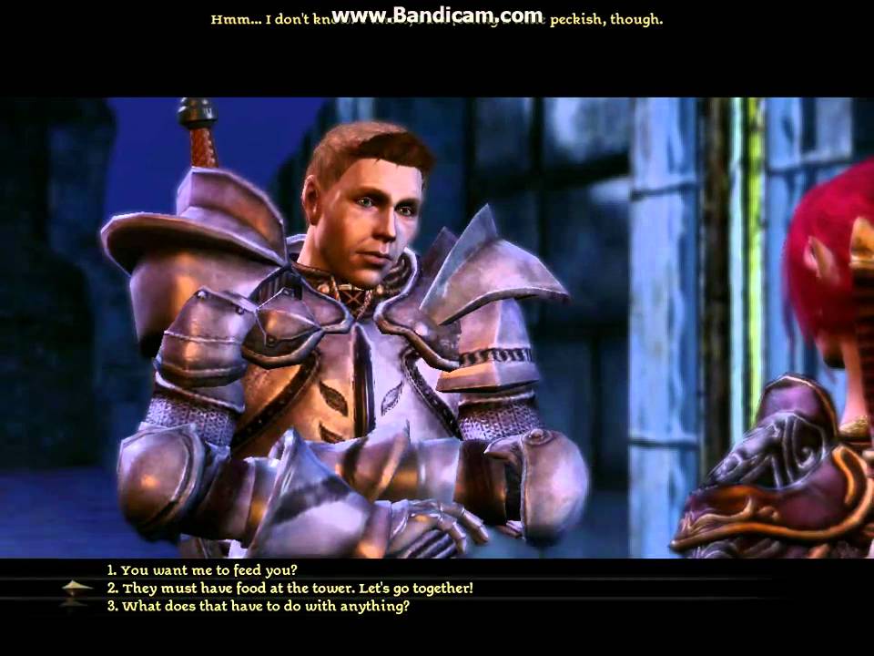 Dragon Age Origins : Templar Carrol,Sten and Cookies - YouTube