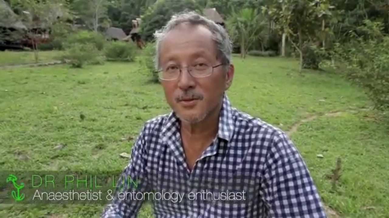 Nature's suture: the army surgery ant - YouTube