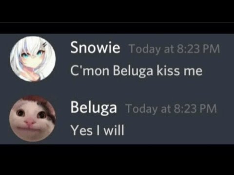 Beluga marries Snowie - YouTube