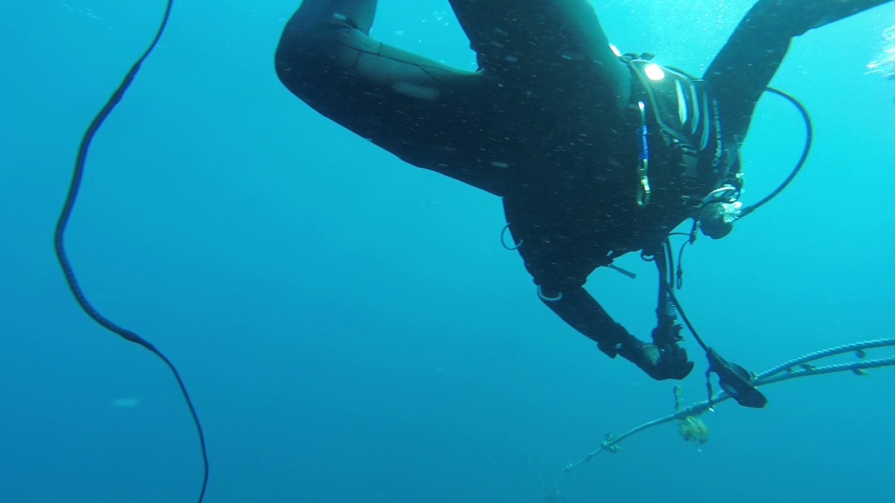 HMAS Swan dive continued 3 - YouTube