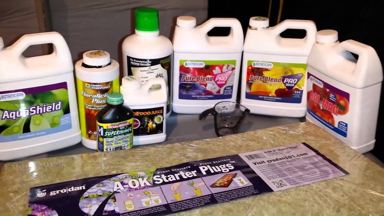 How to Pre-Soak Rockwool for successful cloning - YouTube