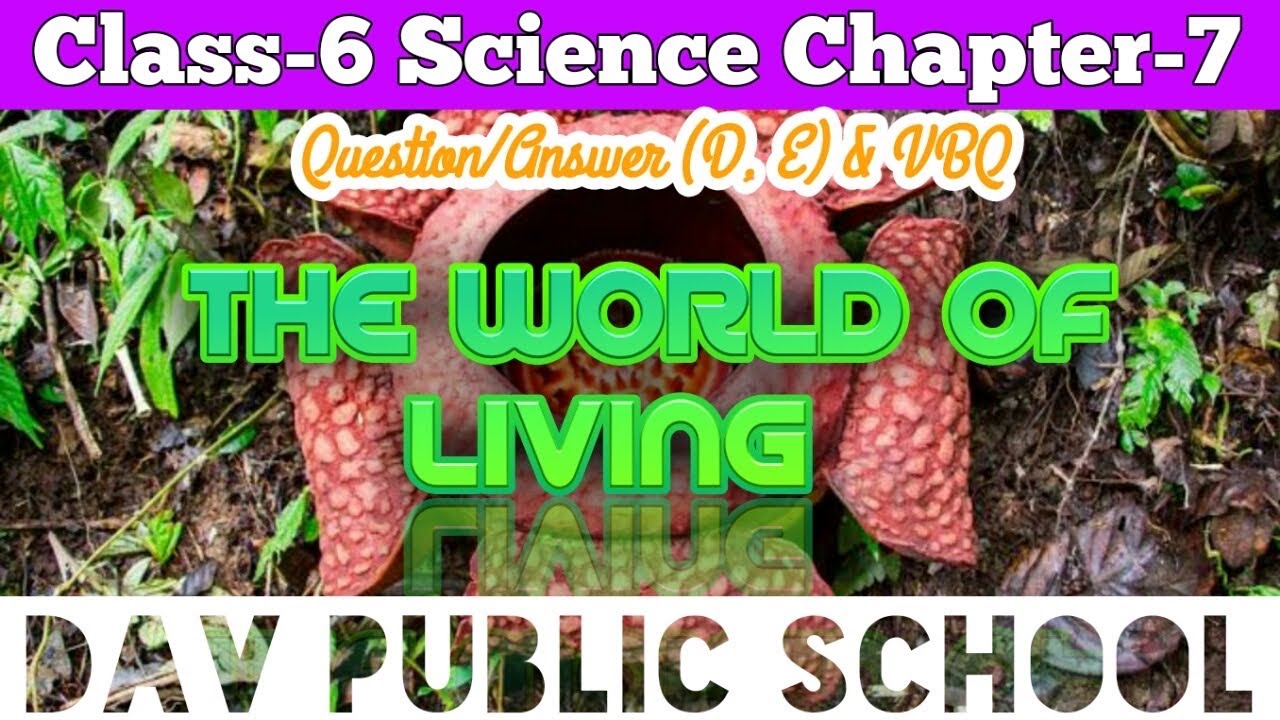 DAV Class 6 Science Chapter 7 THE WORLD OF LIVING Question dav-class-6-science-chapter-7-the-world-of-living-question