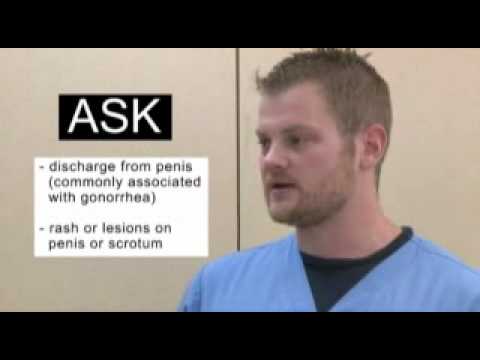 The Male Genitourinary System