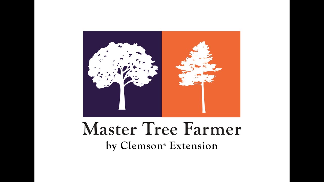 Master Tree Farmer by Clemson Extension - YouTube