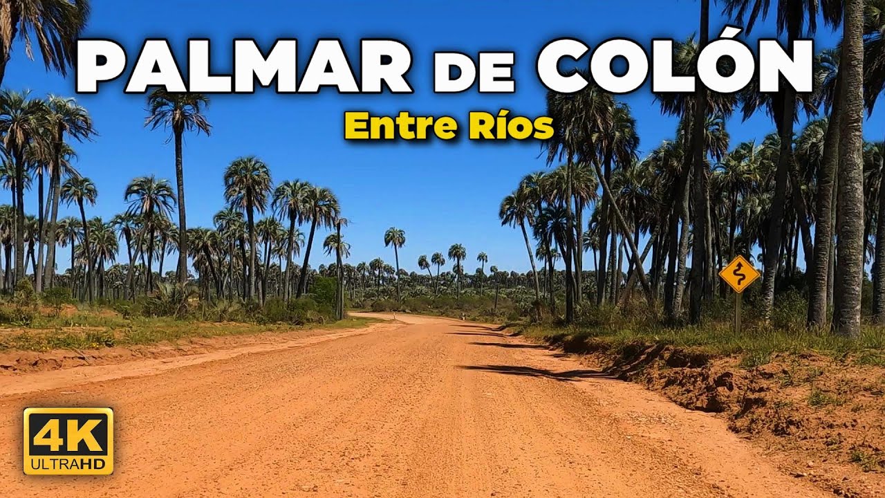 Paseo Relajante por el PALMAR DE COLÓN (Driving Tour) | ENTRE RIOS 🇦🇷 ...