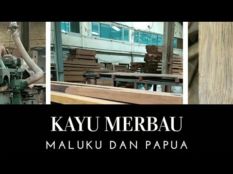 Kayu Merbau I Proses Produksi I Moulding I Potong I Packing I Target ...