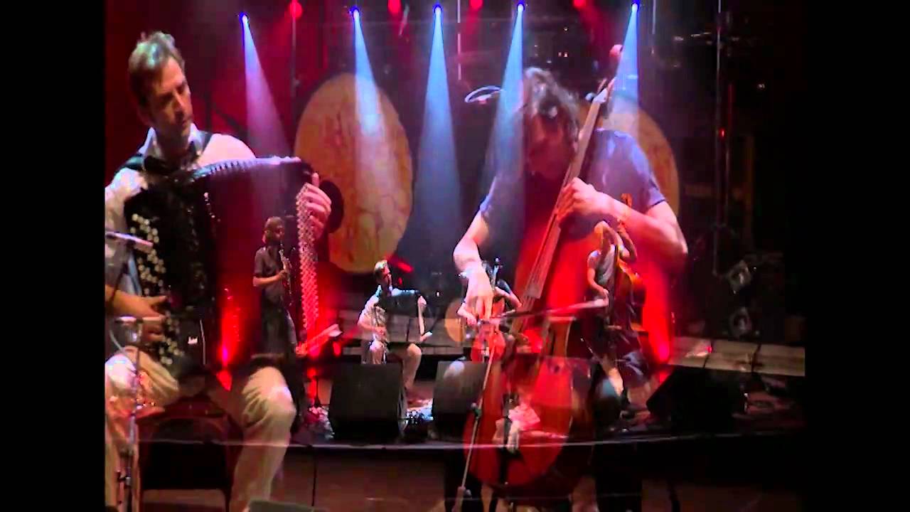 DAAU - INTO THE WILD - YouTube