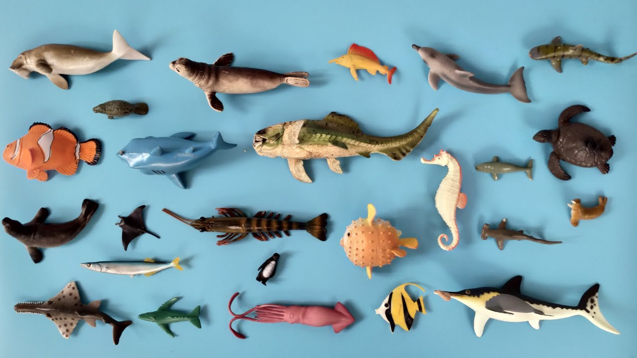 Hewan Laut Hiu Gergaji Penyu Dugong, Paus Kepala Busur, Ikan Buntal ...