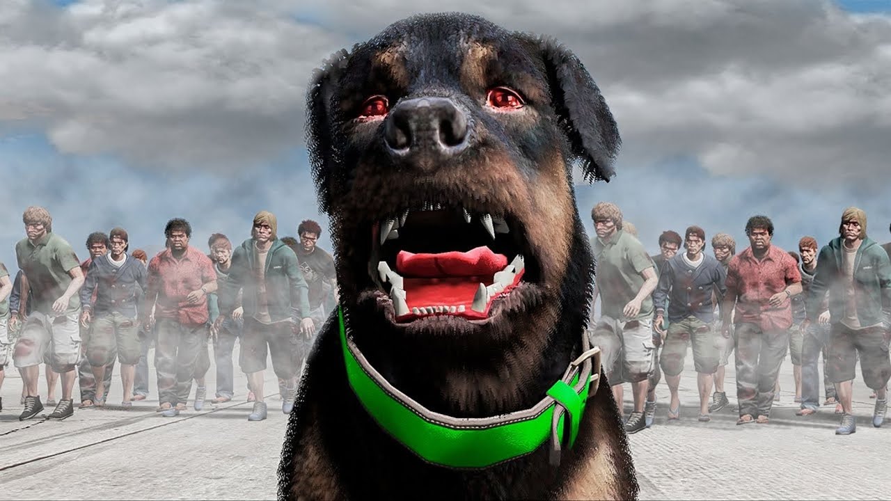 CHOP TURNED into a ZOMBIE in GTA 5!!! - YouTube