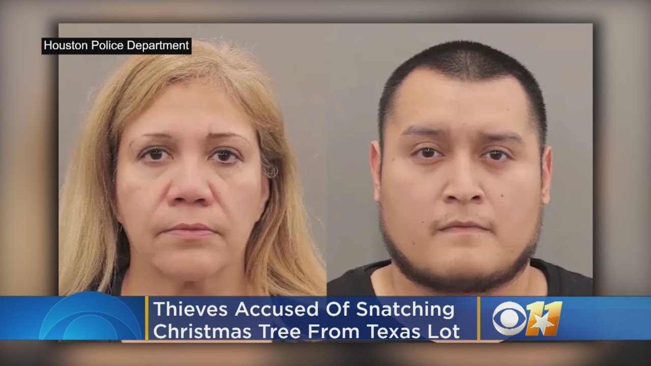 Thieves Accused Of Snatching Christmas Trees From Lot In Texas - YouTube