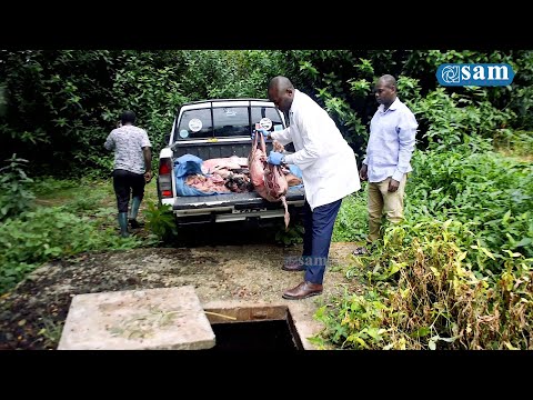 MBUZI WATEKETEZWA MWANAKWEREKWE, DC HAMIDA APIGA MARUFUKU UCHINJAJI HOLELA - YouTube