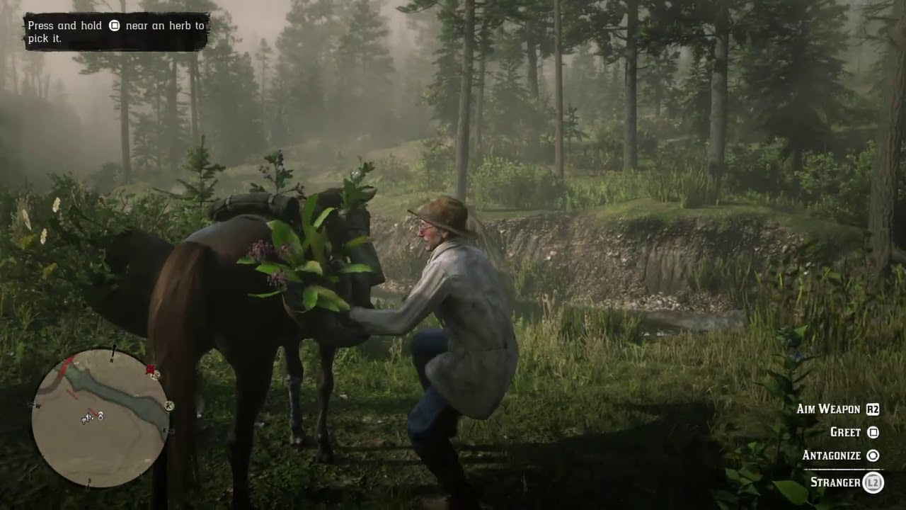 Red Dead Redemption 2 - Meet Herbalist Guy picking Indian Tobacco - YouTube