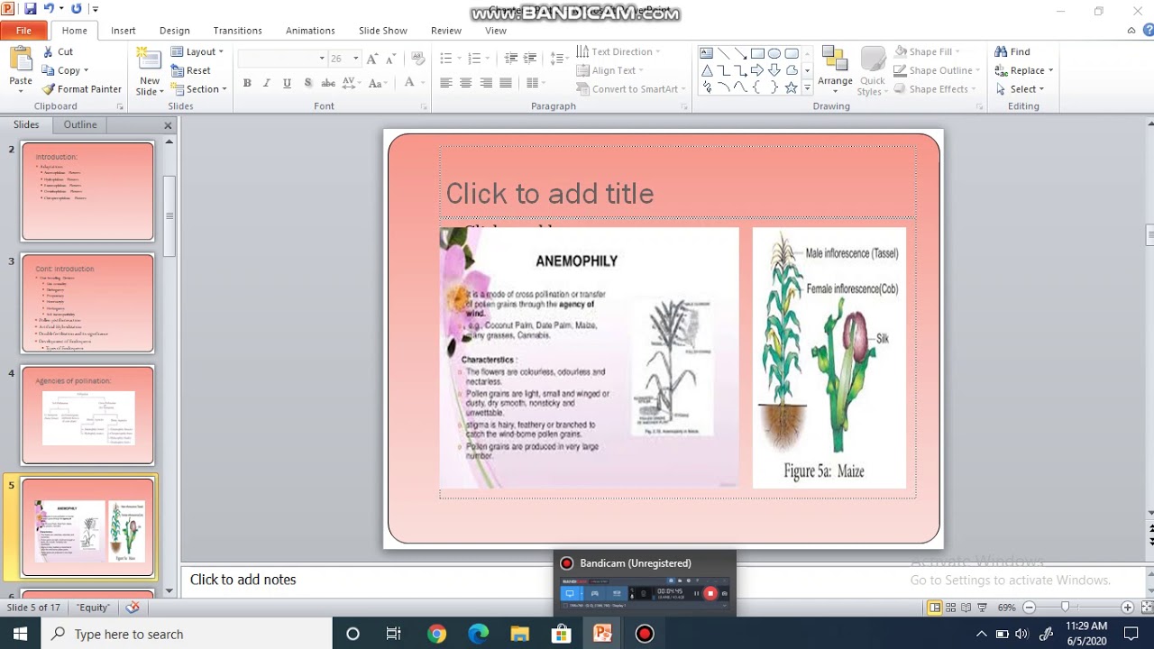 HSC|Botany|chapter 1 reproduction in lower and higher plants| part 4 ...