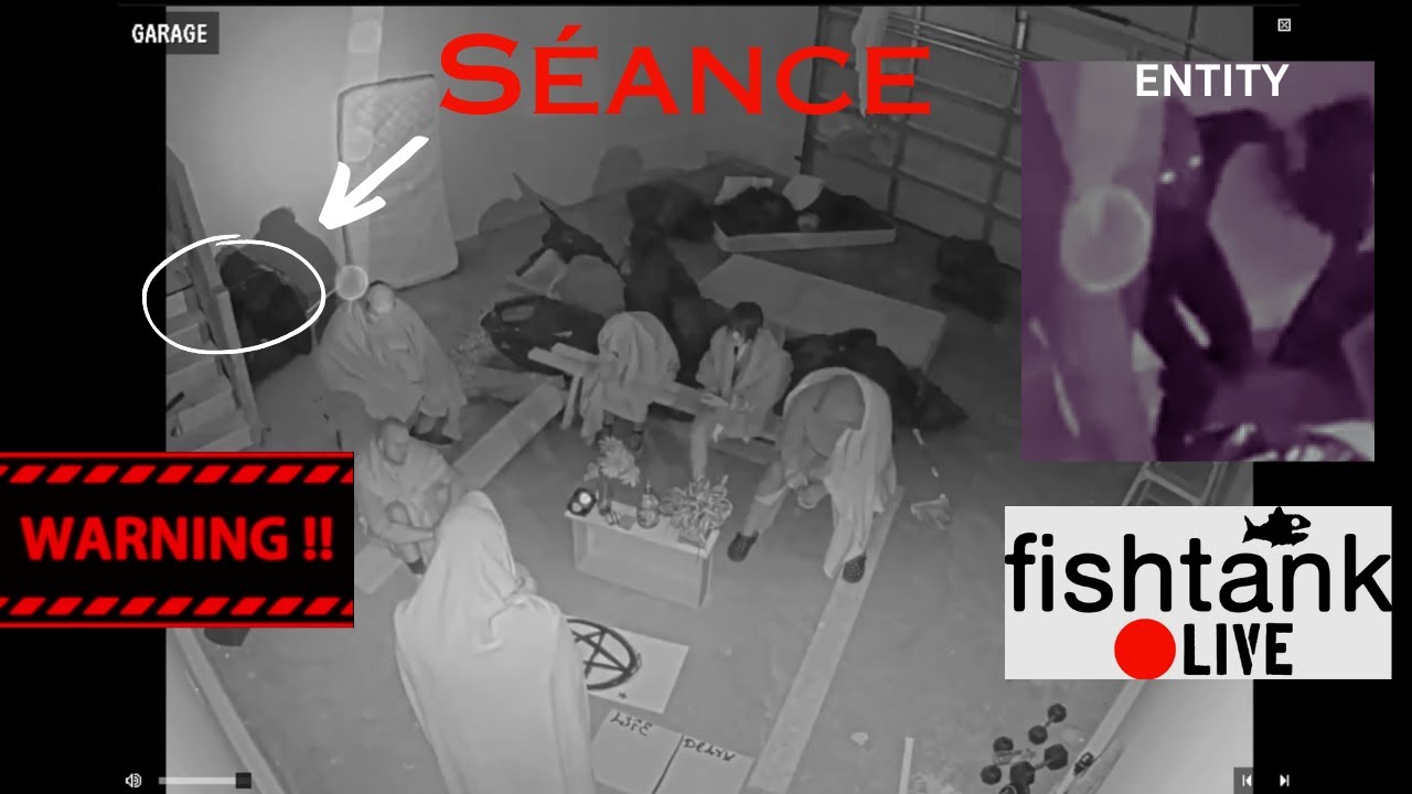 Fish Tank Séance - Alex Stein Summons The Entity - YouTube