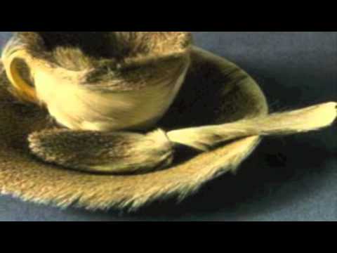 Smarthistory Assignment: Meret Oppenheim, Object (Luncheon in Fur) 1936 ...