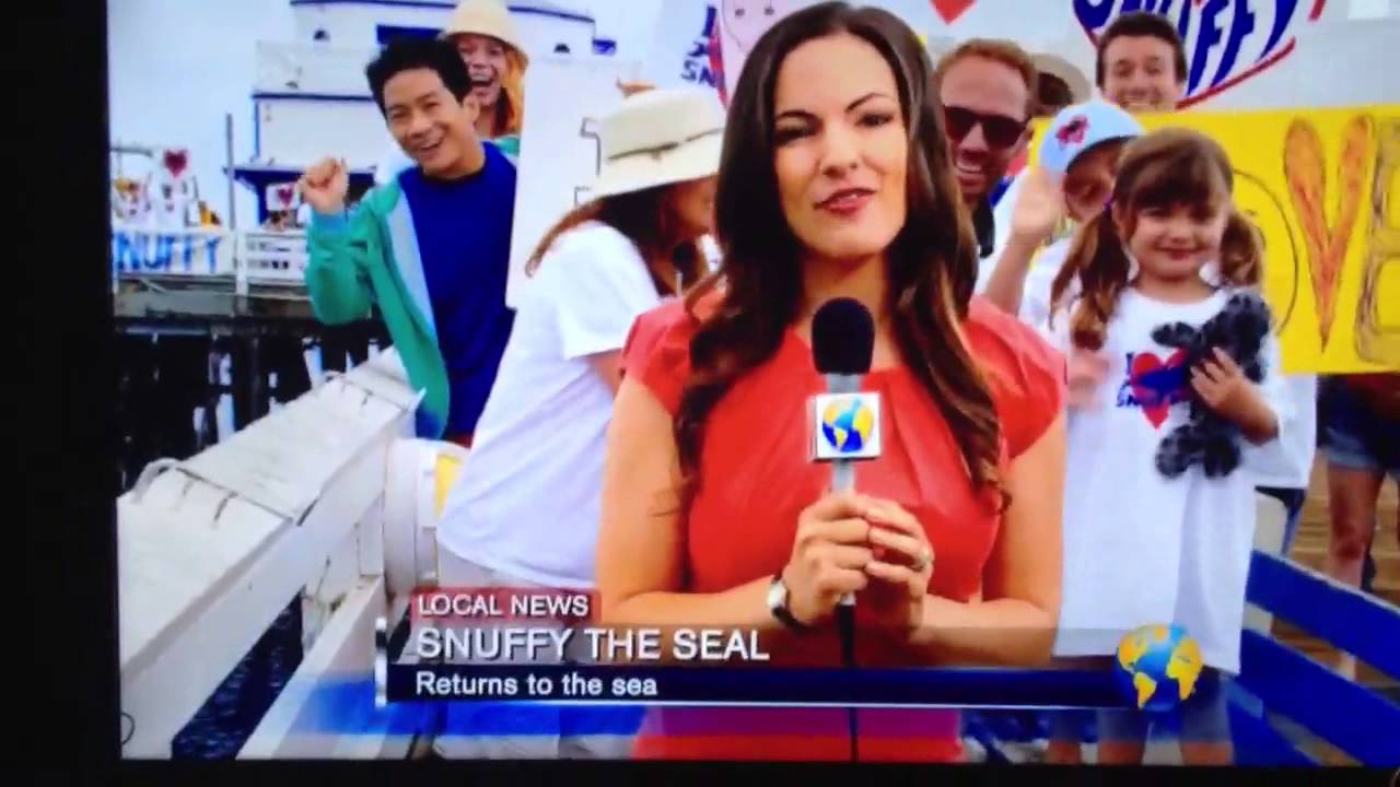 Snuffy the seal (shark week) - YouTube